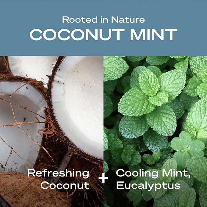 Coconut Mint Deodorant – Hey Humans Online Shop
